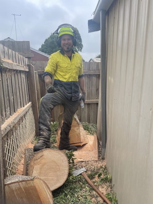 Qualified Professionals | Treeometry Arboricultural Services