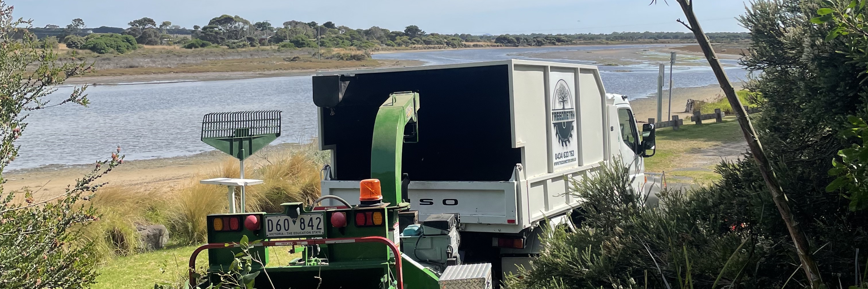 Tree Removal Anglesea | Treeometry Arboricultural Services